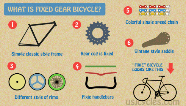 Everything You Must Know About Fixed Gear Bicycle - USJ CYCLES
